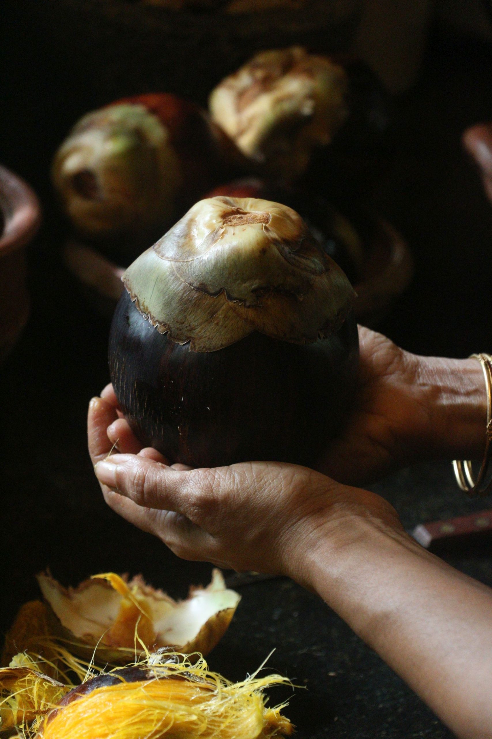 How to process a panampazham or toddy palm fruit – Pâticheri